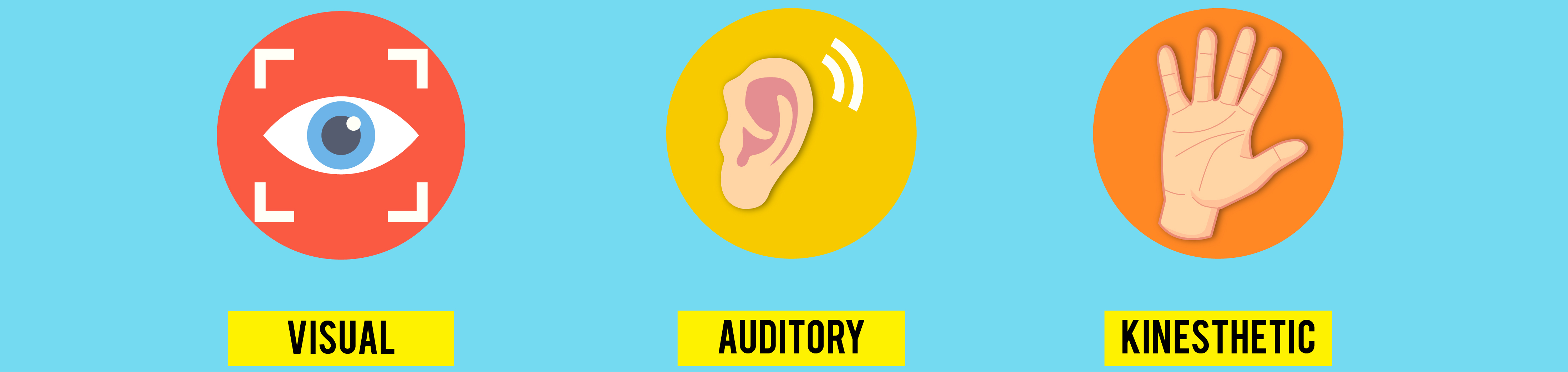 Visual Auditory Kinesthetic (VAK) Learning Style